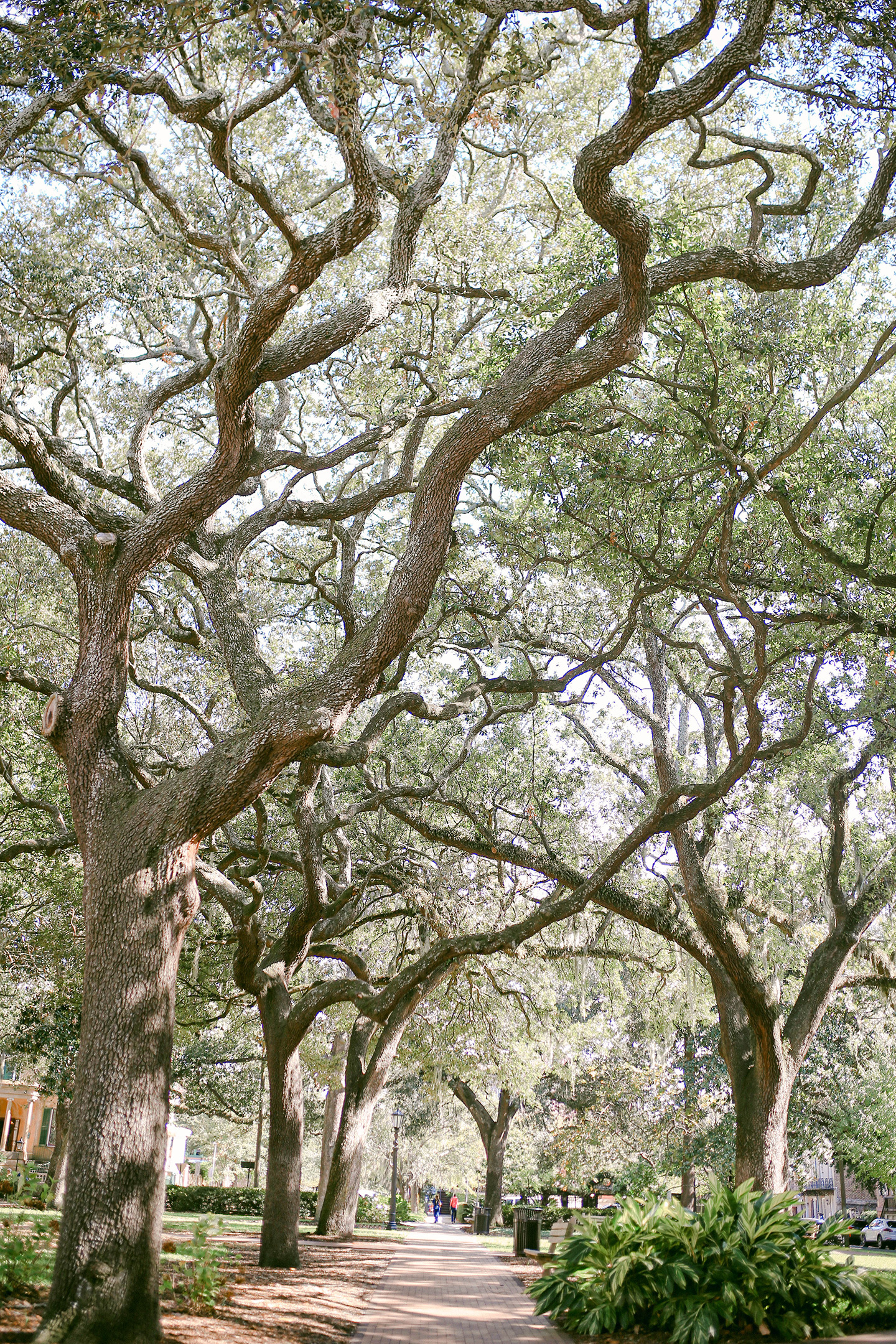 Guide to Savannah, Georgia - Color By K